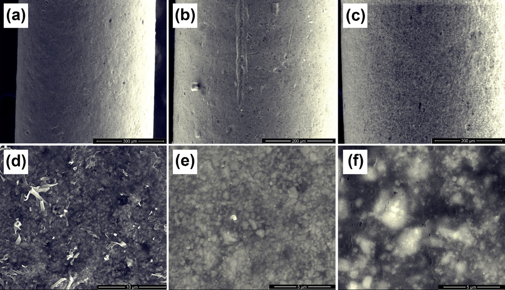 Ethanolic curcumin/silver nanoparticles suspension as antibacterial ...
