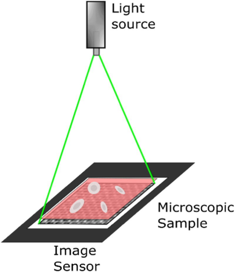 Emerging scientific and industrial applications of digital holography ...