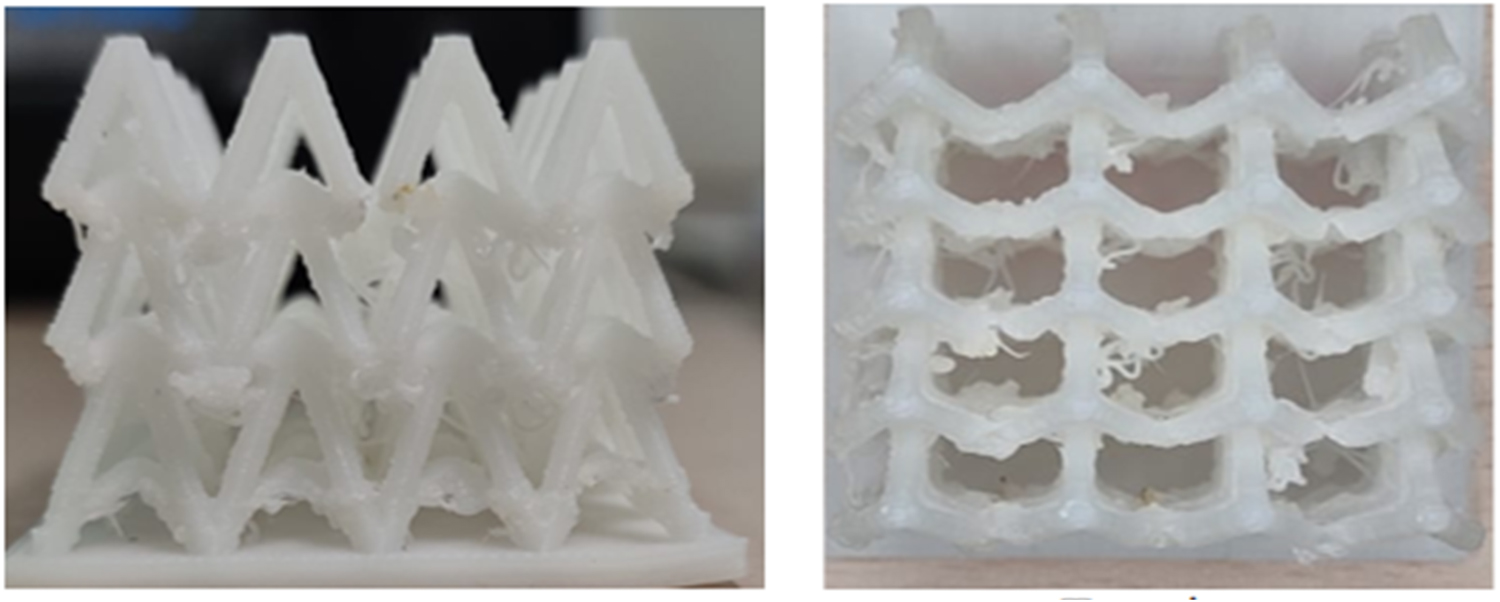 Mechanical characterization of FDM printed bio-inspired double arrow ...