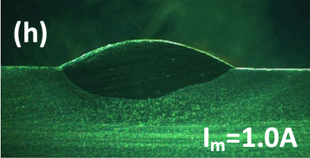 Characterisation of weld bead and microhardness of SS316L weld overlays ...