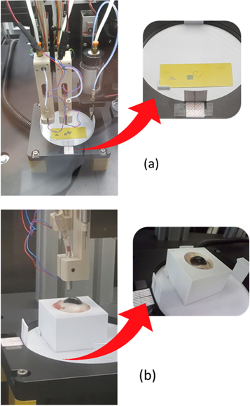 Double diamond approach helping multidisciplinary health research team ...
