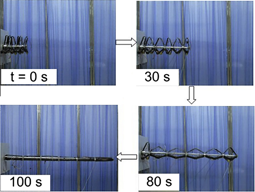 4D printing of polylactic acid (PLA)/thermoplastic polyurethane (TPU ...