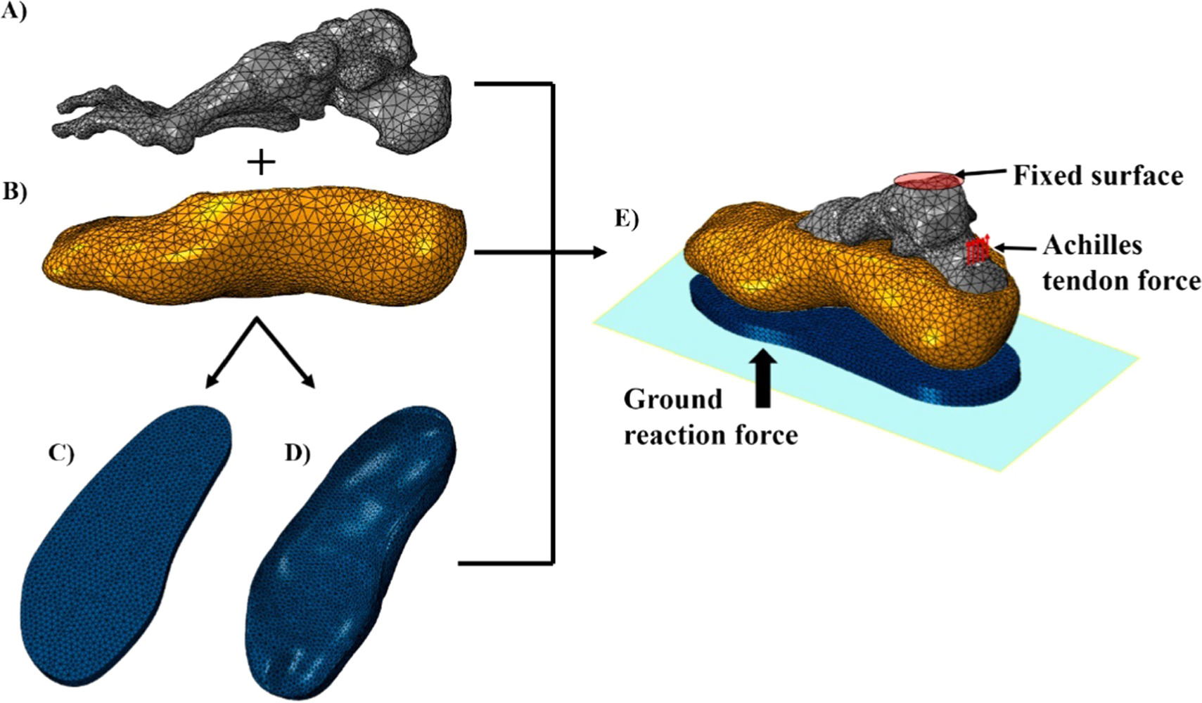 Finite element modeling of diabetic foot: a state-of-the-art review ...