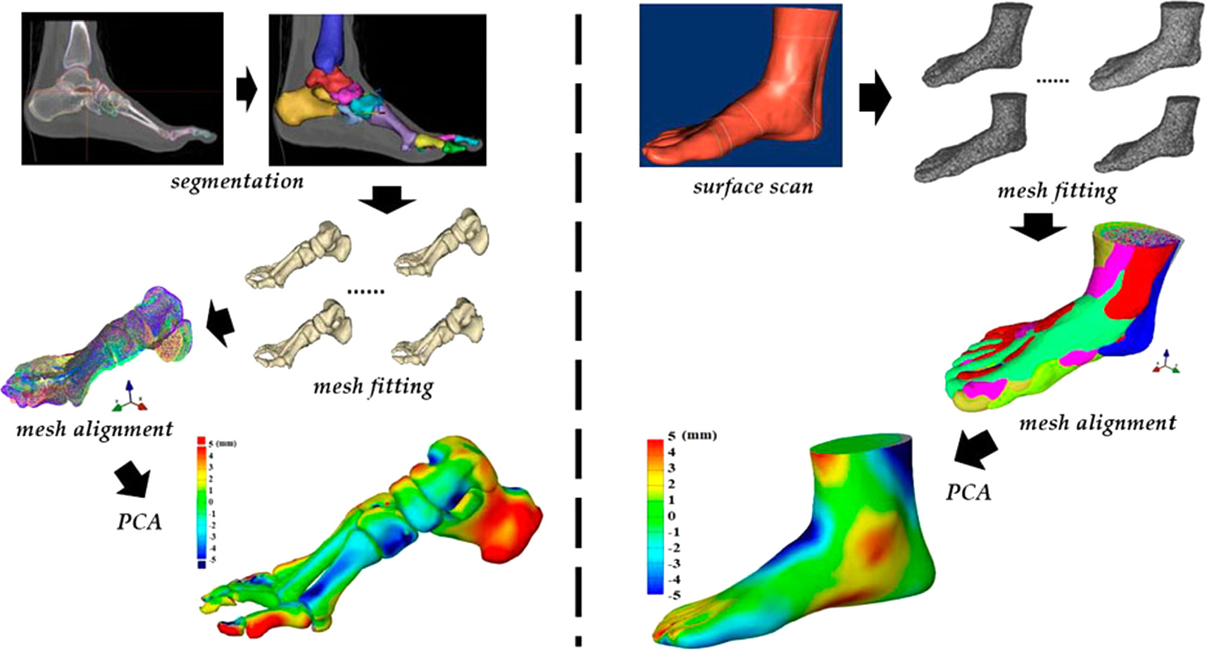 Finite element modeling of diabetic foot: a state-of-the-art review ...