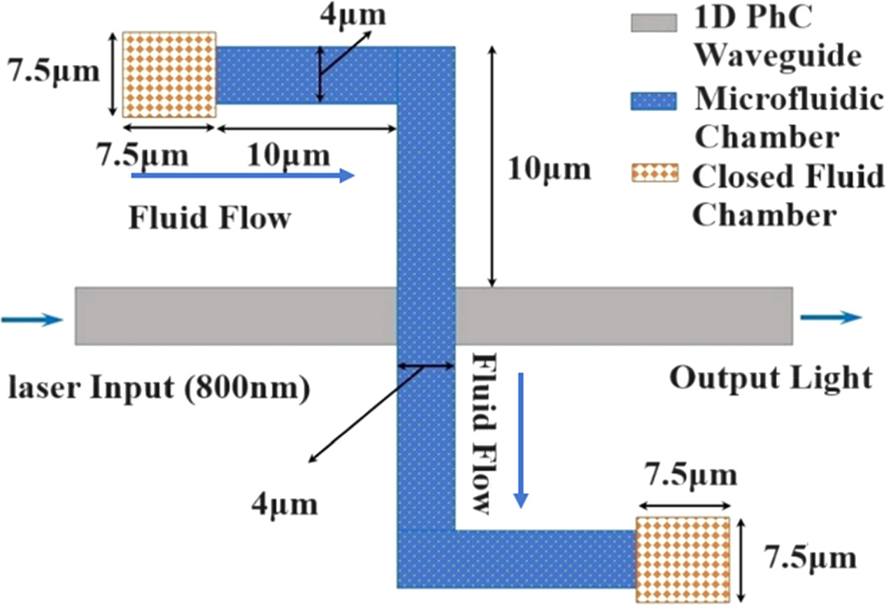 Optofluidic photonic crystal micro sensor for enhanced detection of ...