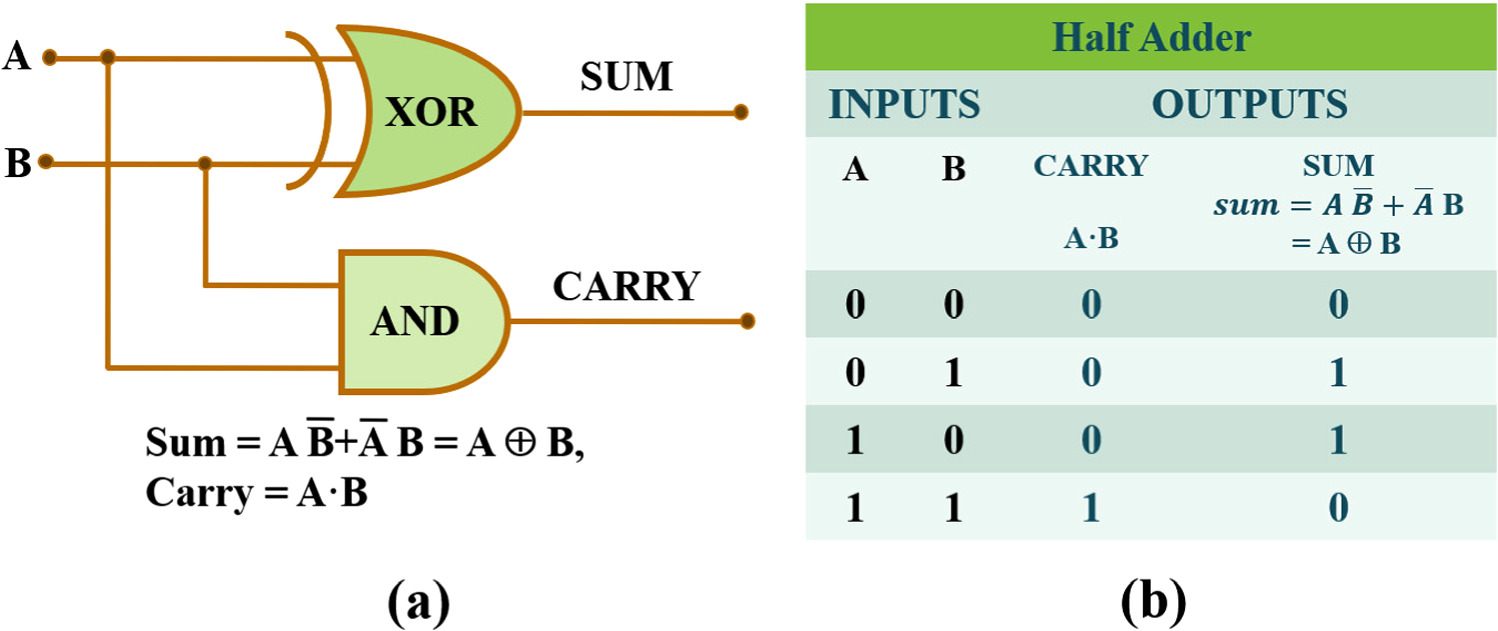 Role of structural asymmetry on the delivery of all-optical logical ...