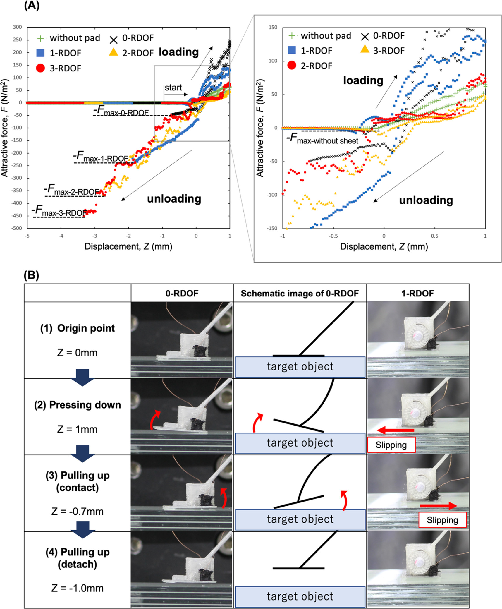 Electrostatic chuck having compliant multi-beam structures with ...