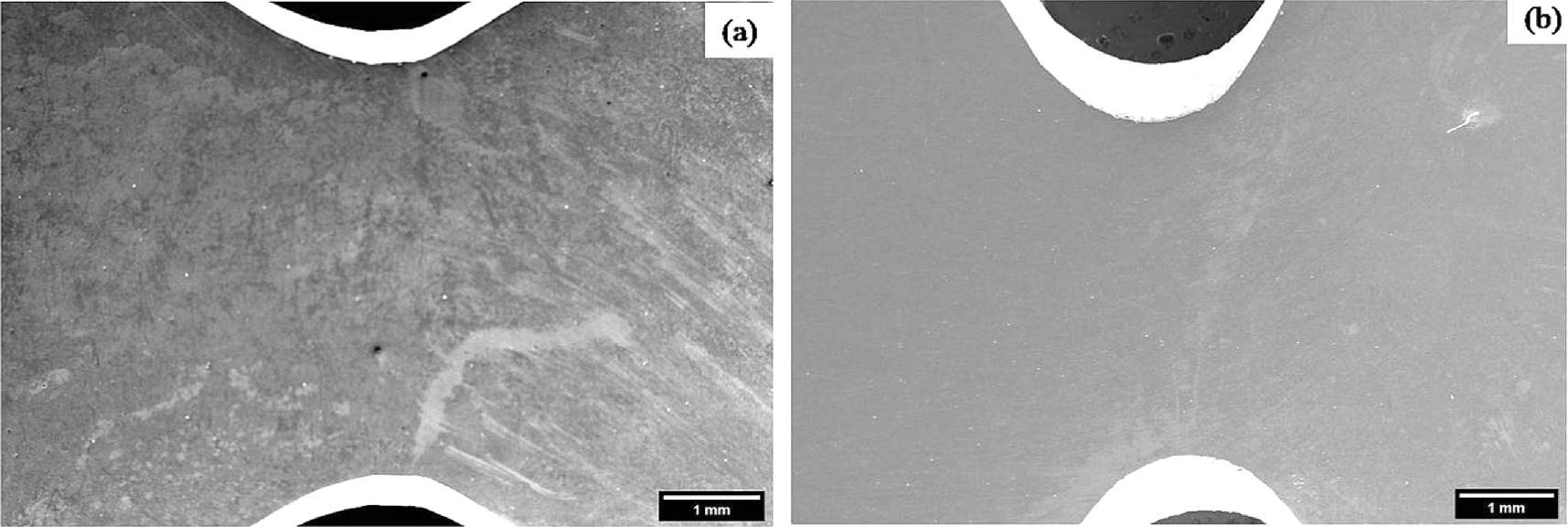 Effect of notch angle on creep deformation and rupture behavior of ...