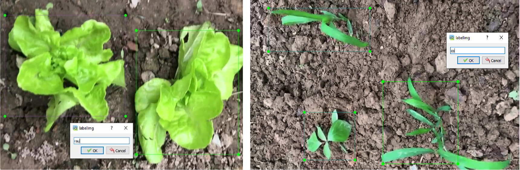 Development of a prototype of weeding robot - IOPscience