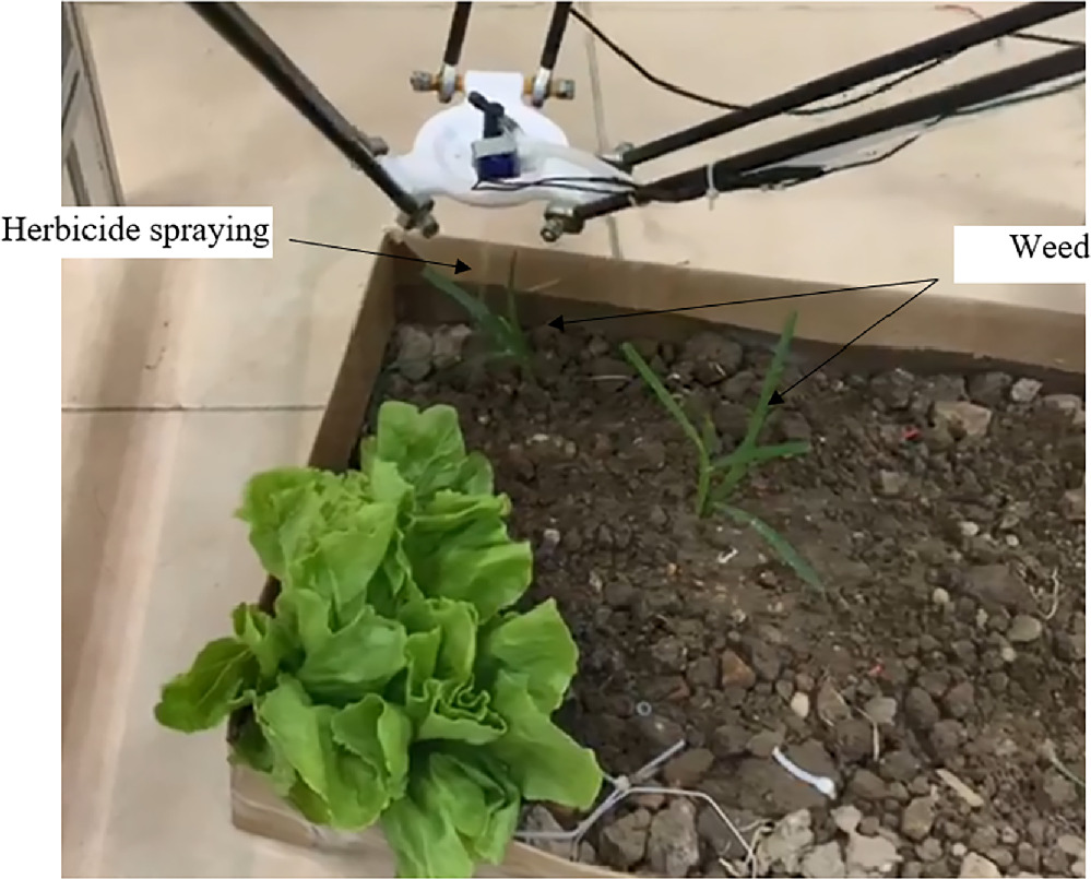 Development of a prototype of weeding robot - IOPscience