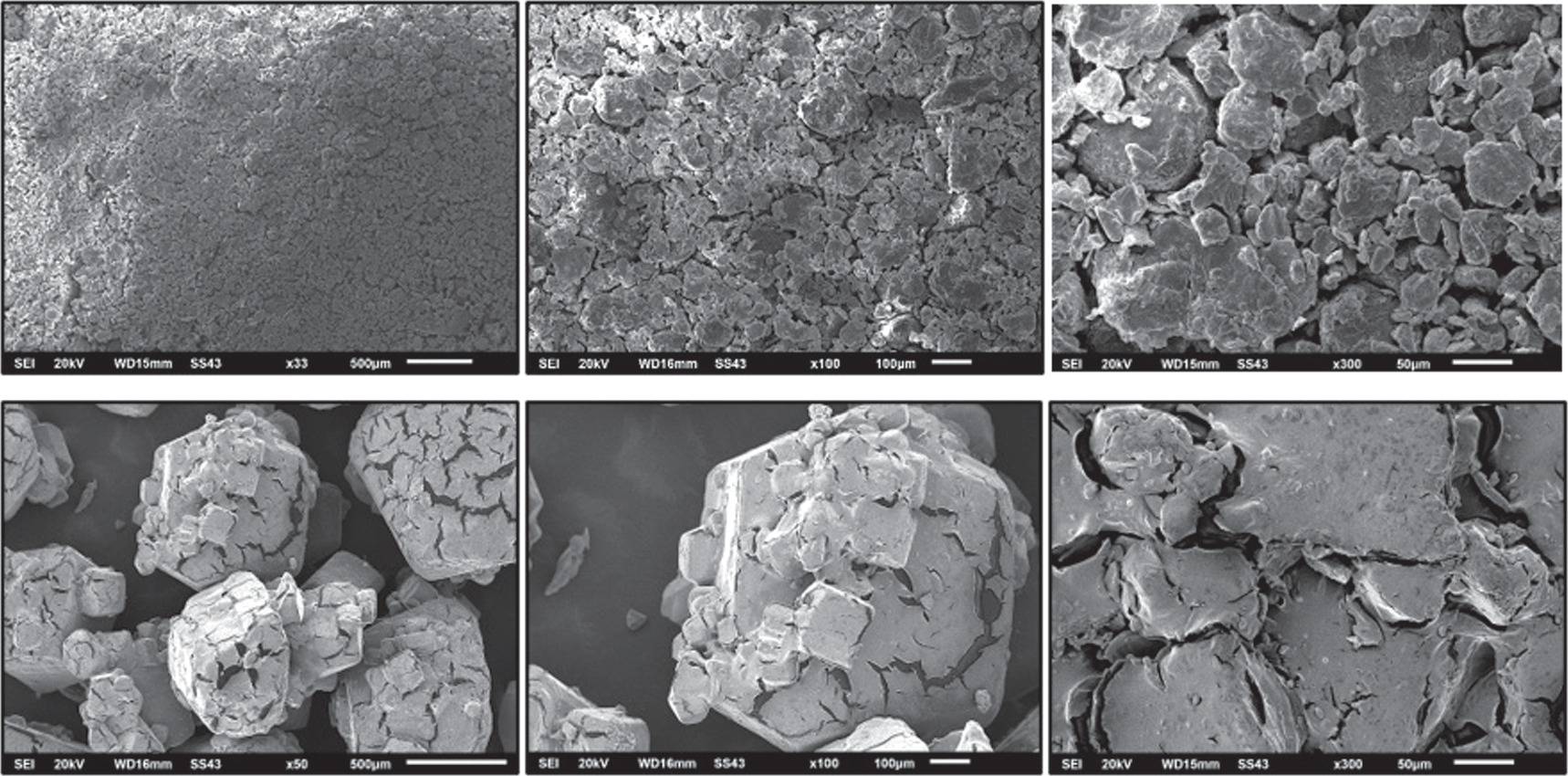 Polyvinyl alcohol (PVA)-based films: insights from crosslinking and ...