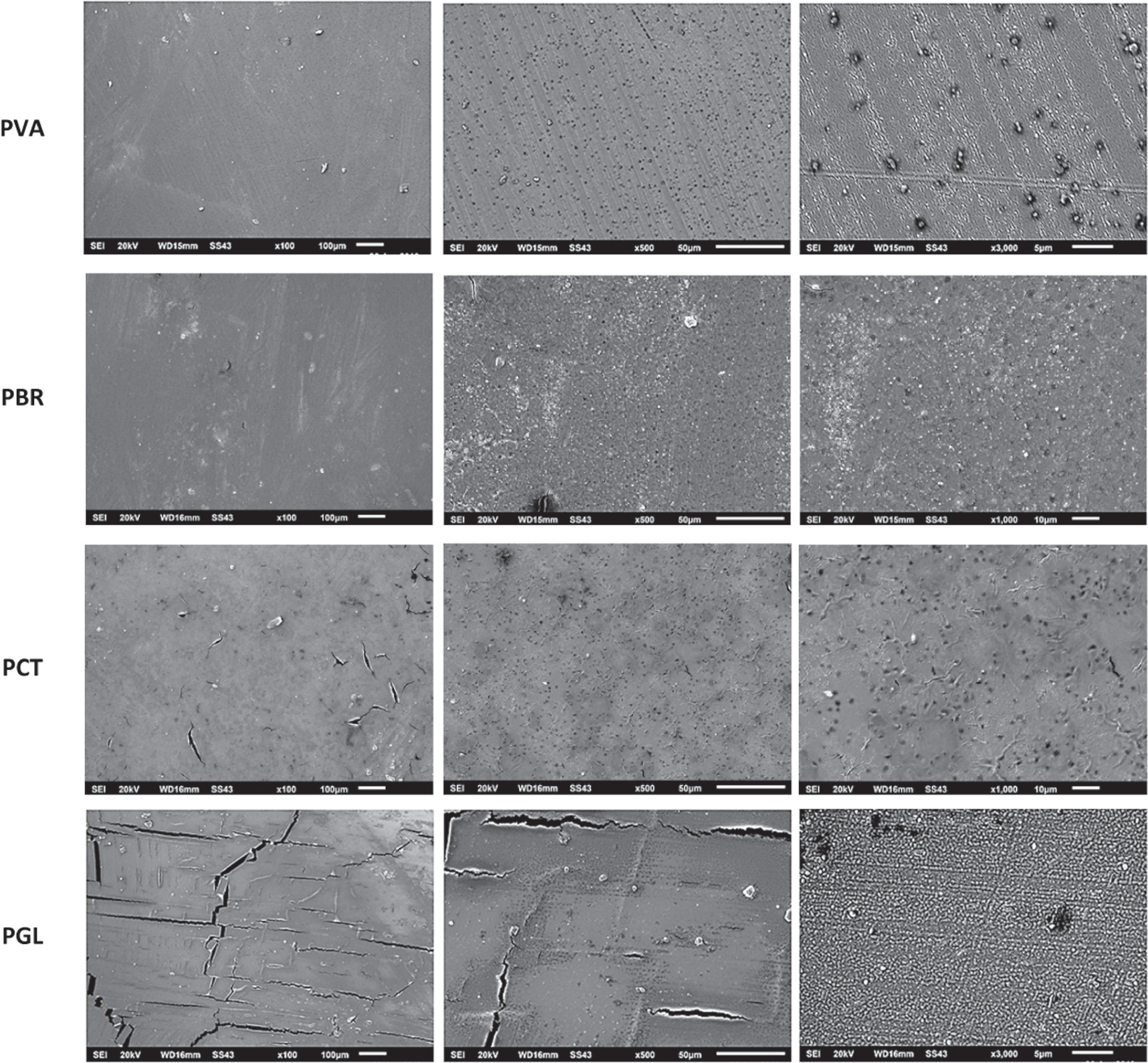 Polyvinyl alcohol (PVA)-based films: insights from crosslinking and ...