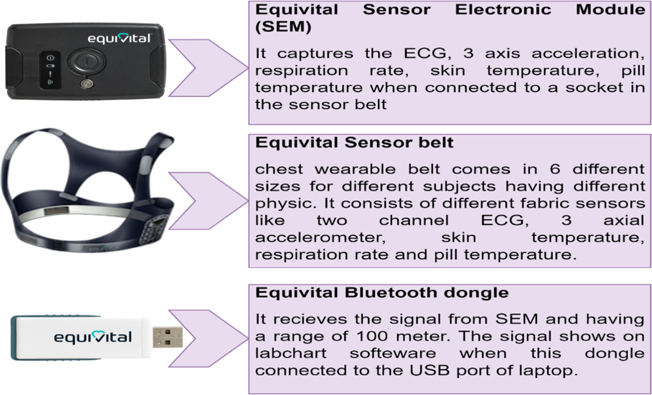 Multi-head CNN-based activity recognition and its application on chest ...