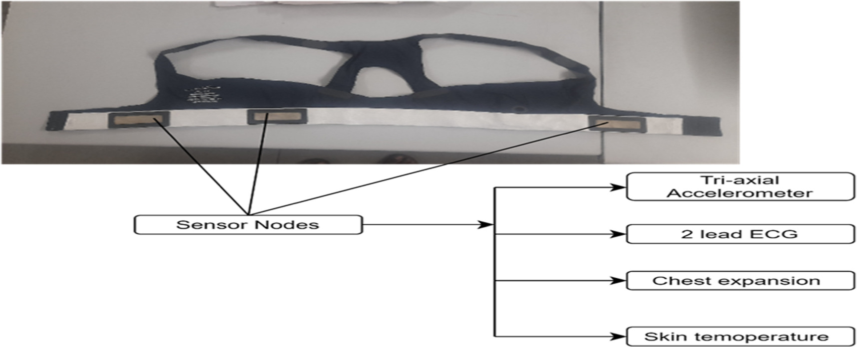 Multi-head CNN-based activity recognition and its application on chest ...