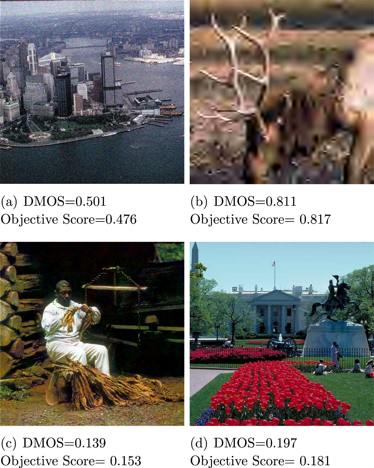 No reference image quality assessment using gabor convolutional neural networks - IOPscience
