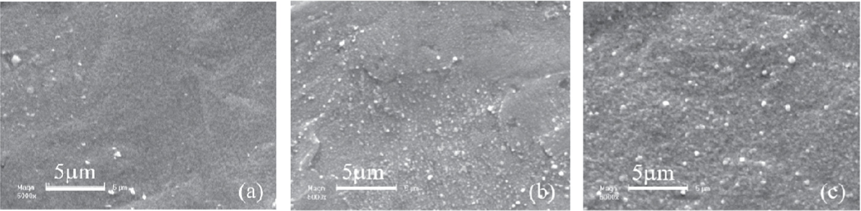 Influence of compound layer on the corrosion resistance of low alloy ...