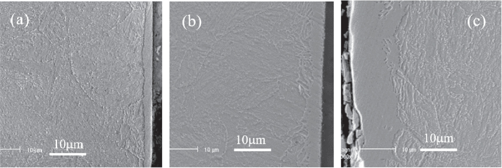 Influence of compound layer on the corrosion resistance of low alloy ...