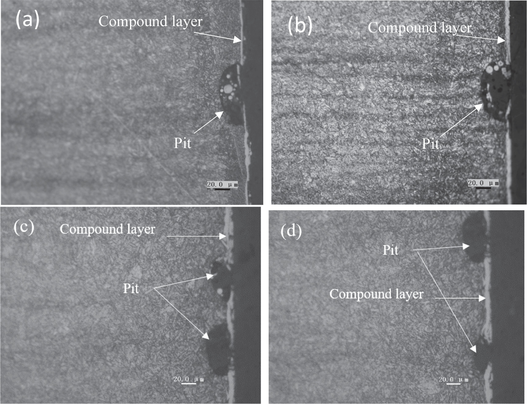 Influence of compound layer on the corrosion resistance of low alloy ...