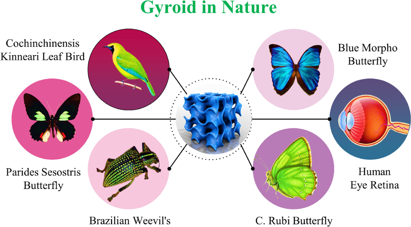 Comparative study on tensile and morphological properties of resin and ...