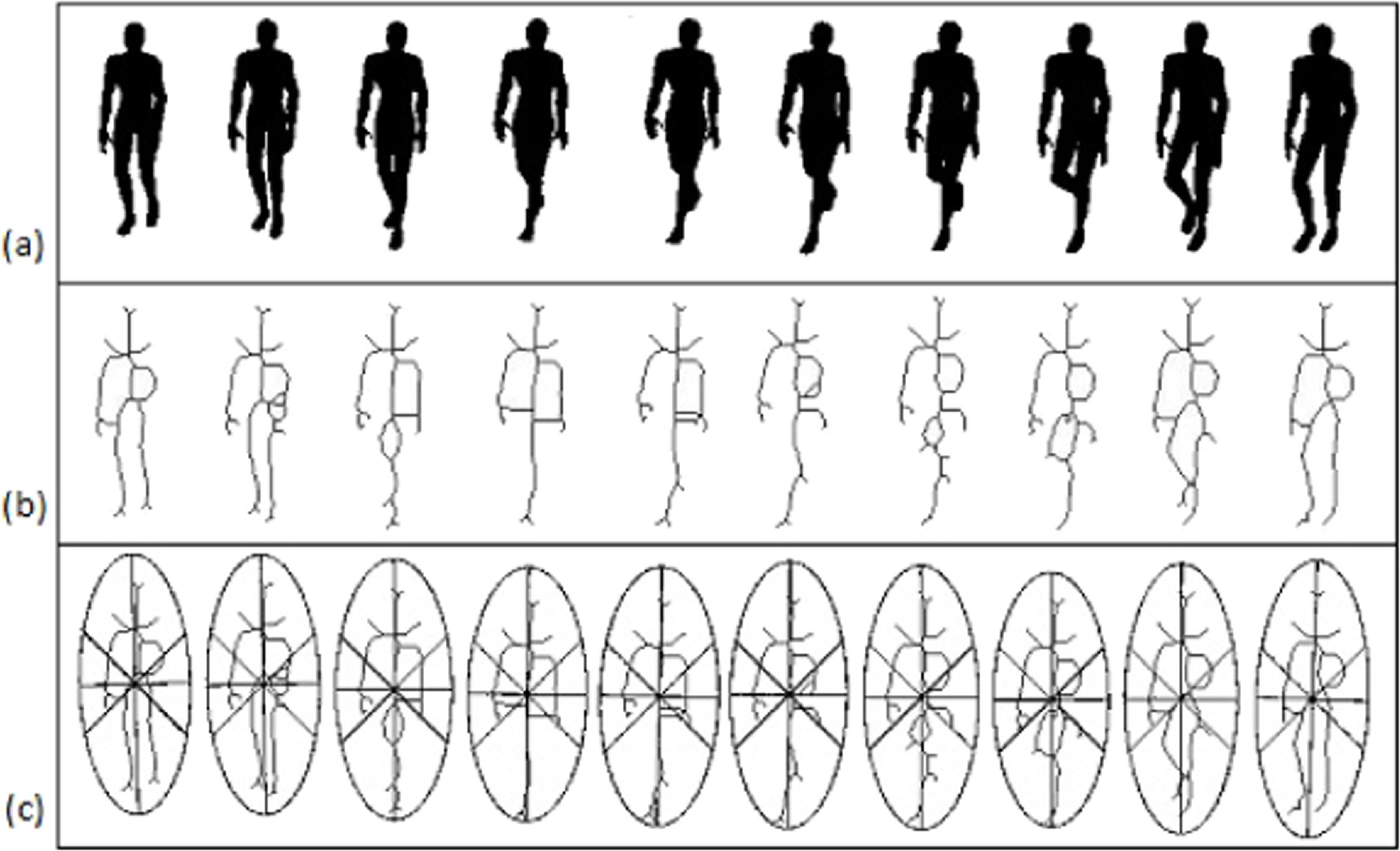 Random forest based robust human activity detection system using hybrid ...