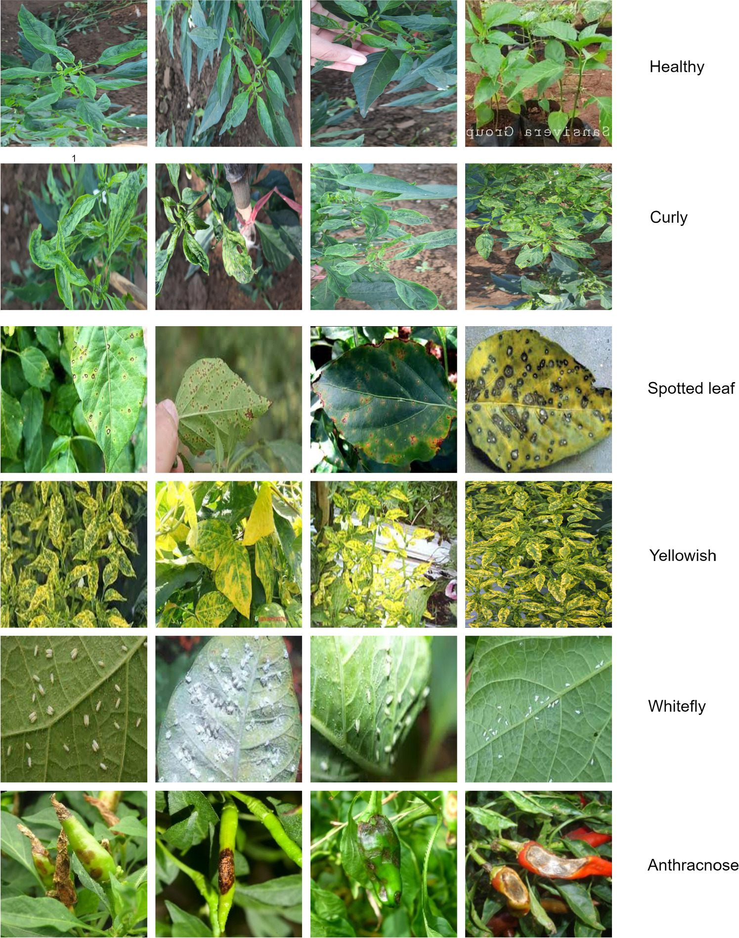 RNDDNet: A residual nested dilated DenseNet based deep-learning model ...
