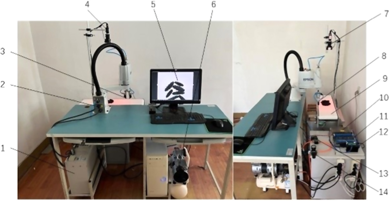 Faster-YOLOv5: real-time deep learning for sea cucumber defect recognition and classification ...