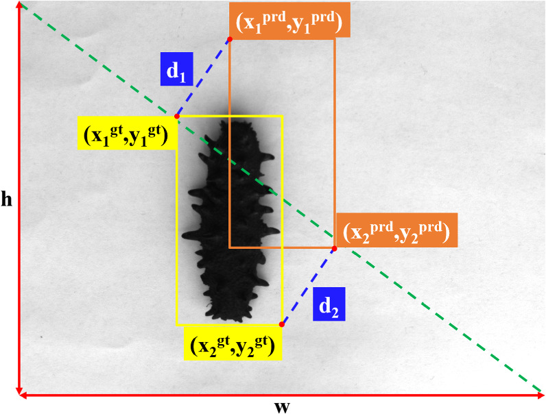 Faster-YOLOv5: real-time deep learning for sea cucumber defect recognition and classification ...