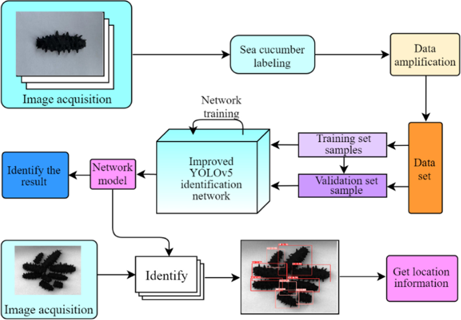 Faster-YOLOv5: real-time deep learning for sea cucumber defect recognition and classification ...