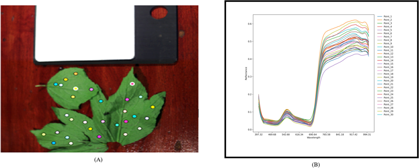 Design and development of a low-cost hyperspectral imaging setup via a ...