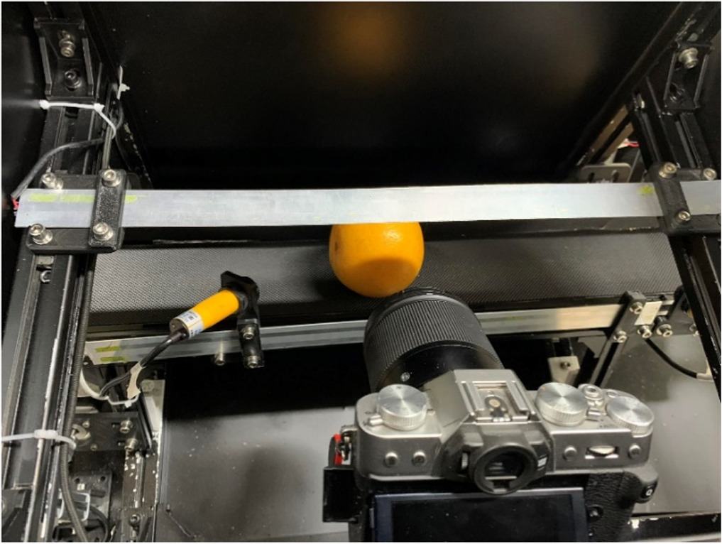 Development of novel prototype of orange sorting machine - IOPscience