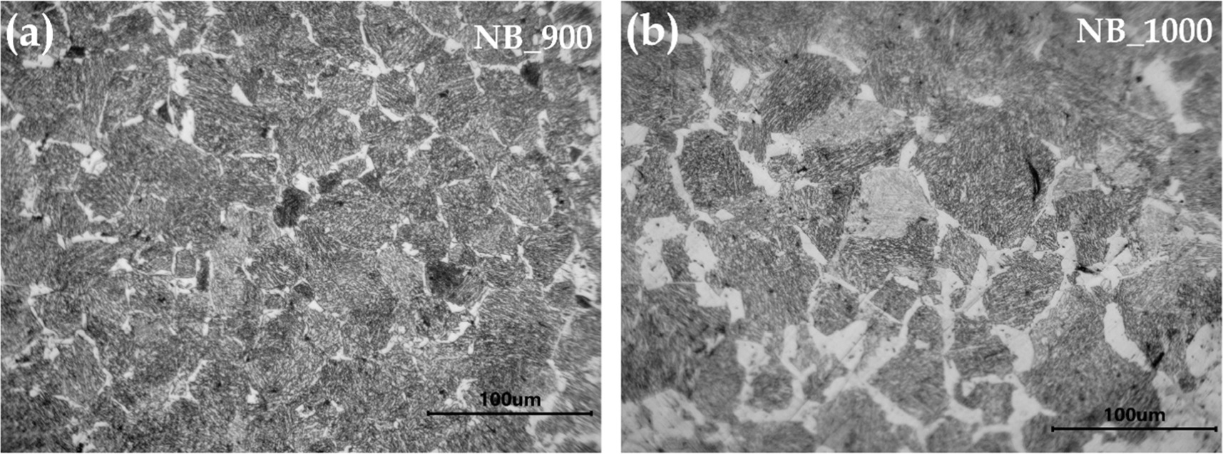 The effect of prior austenite grain size on crystallography and variant ...