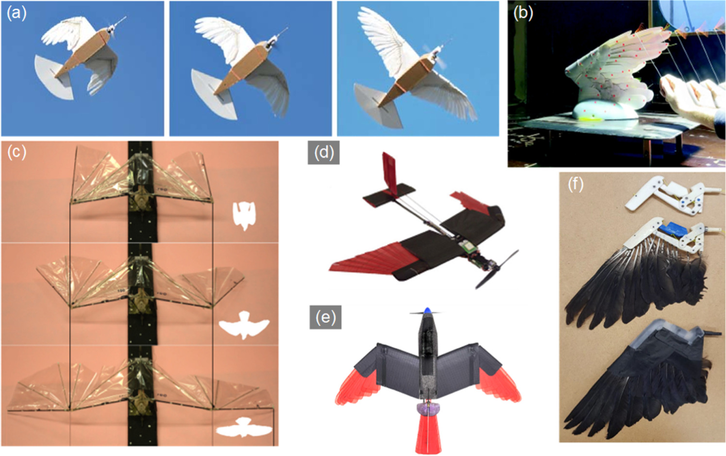 Design of an active wing-folding biomimetic flapping-wing air vehicle ...
