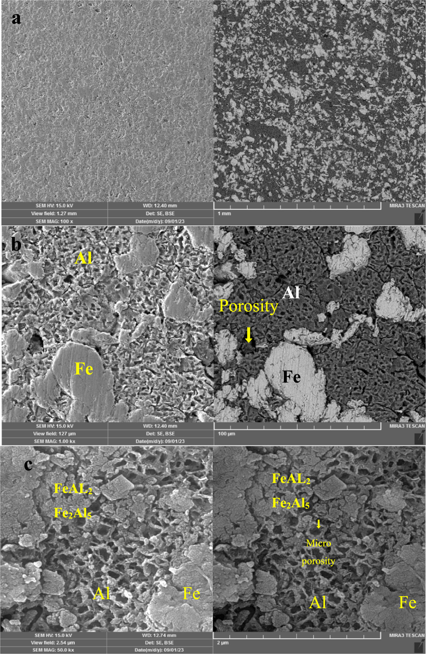 Investigation of the mechanical and Thermal properties of functionally ...