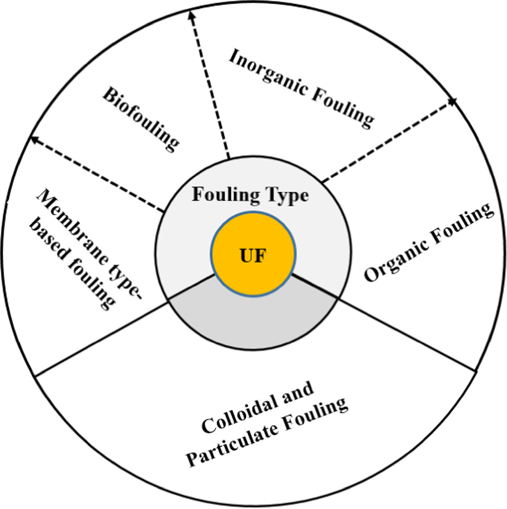 Overcoming fouling challenges in ultrafiltration for drinking water ...