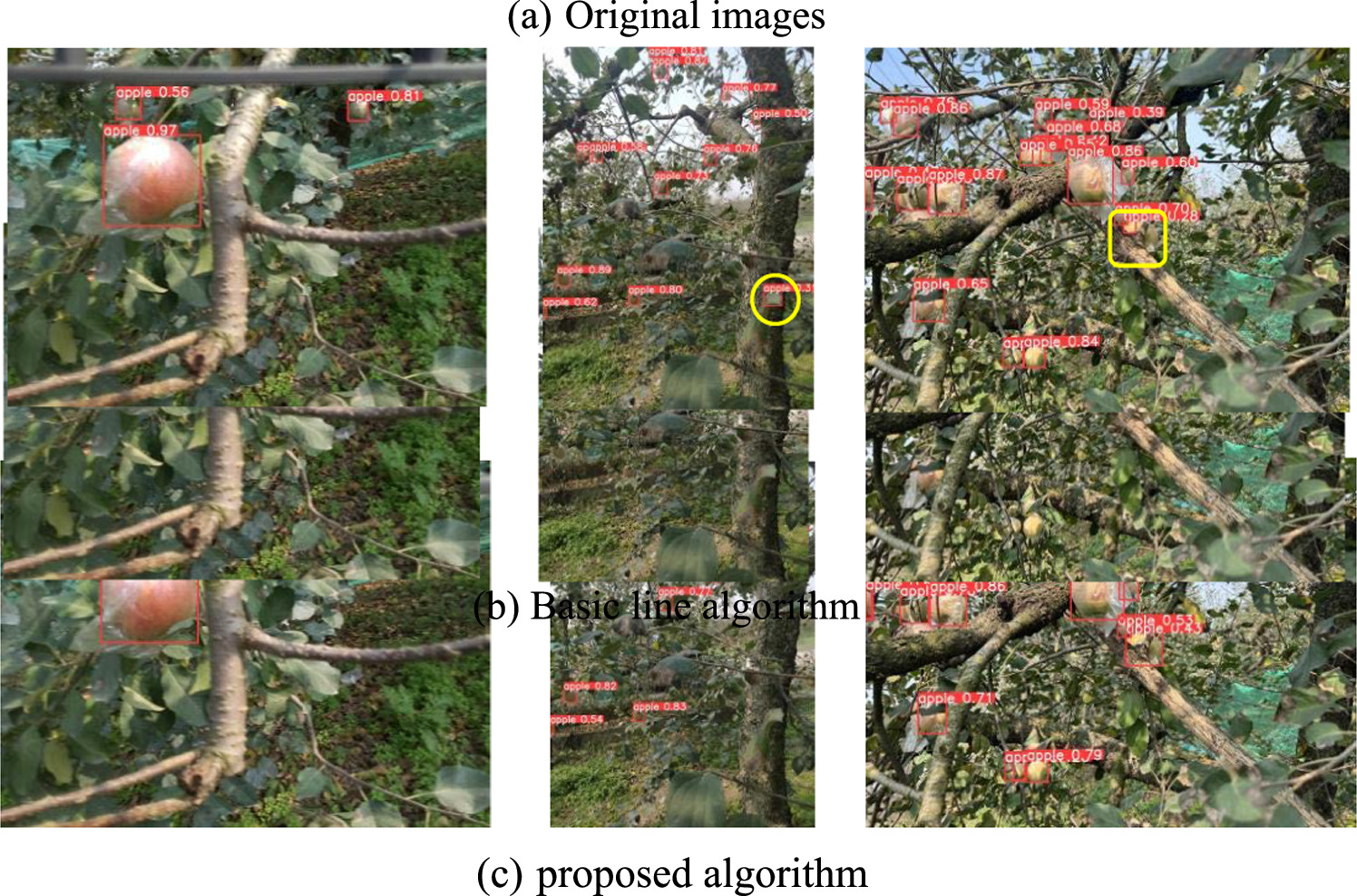 Apple detection in complex environment based on improved YOLOv8n ...