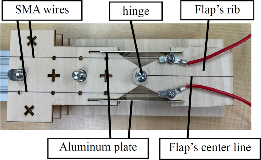 Morphing flap driven by link with antagonistic shape memory alloy wires ...
