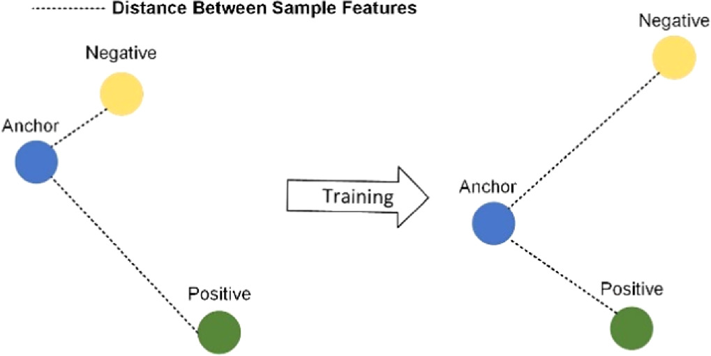 Multi-source semi-supervised condition constrained domain adaptation for process fault ...