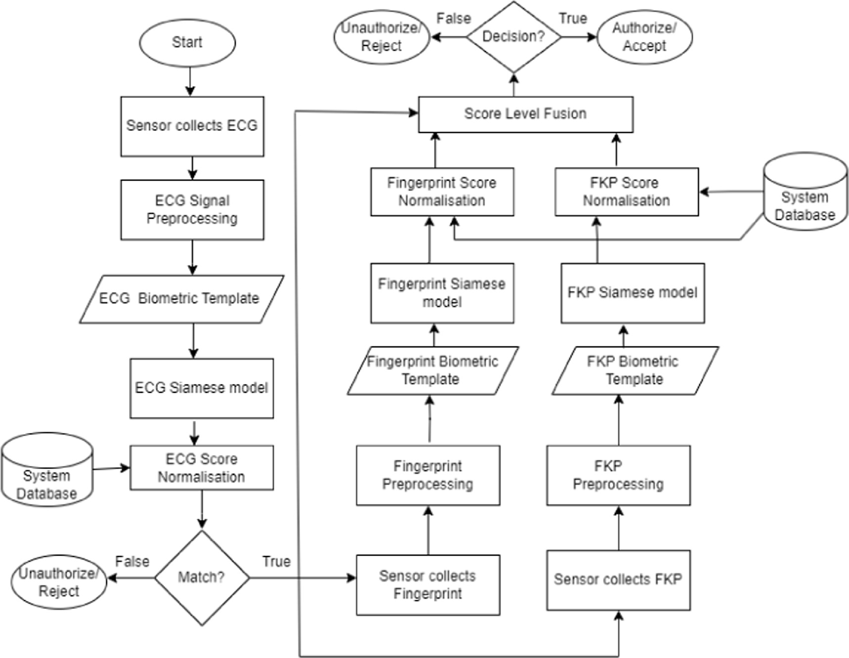 Multimodal biometric authentication: a novel deep learning framework ...