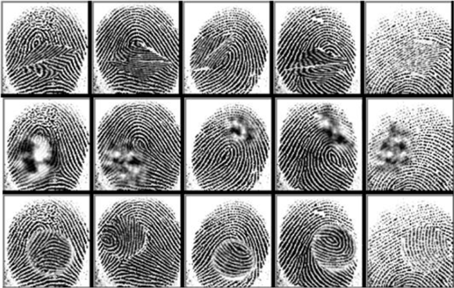 Multimodal biometric authentication: a novel deep learning framework ...