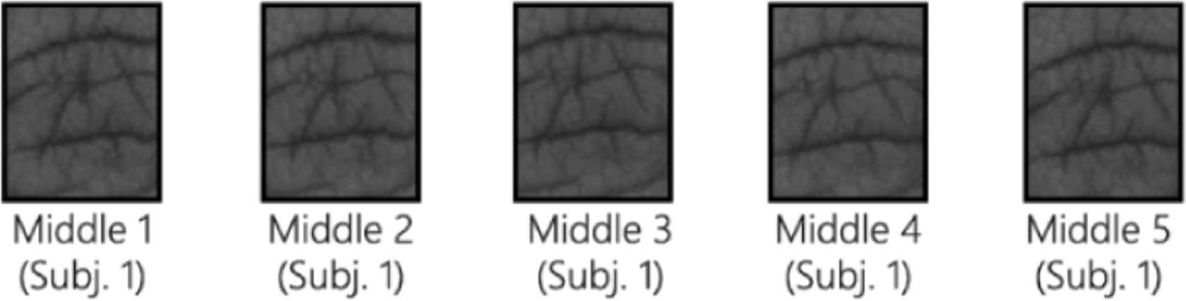 Multimodal biometric authentication: a novel deep learning framework ...