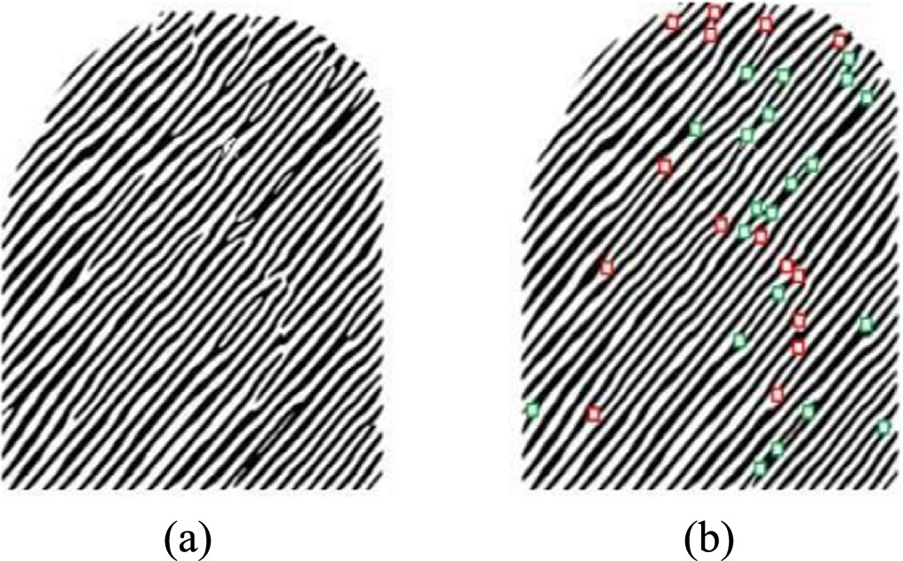 Assessing fingerprint image quality: an ensemble technique perspective ...