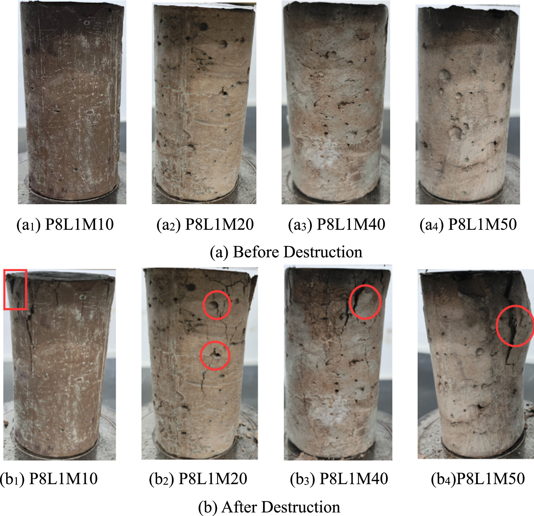 Preliminary study on the mechanical properties of muddy soil solidified ...