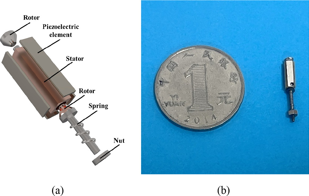A millimeter-scale capsule robot driven by a piezoelectric motor in ...