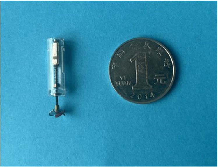 A millimeter-scale capsule robot driven by a piezoelectric motor in ...
