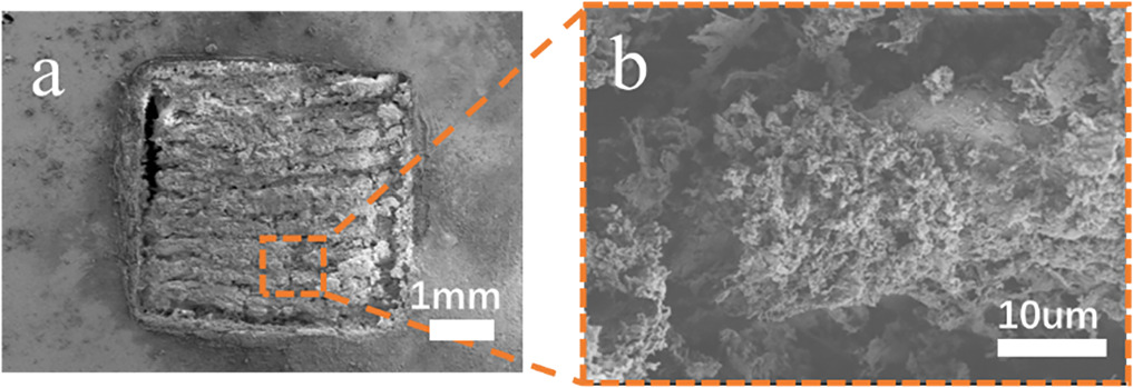 Light-driven biomimetic mussel robot with locomotion and adhesion ...