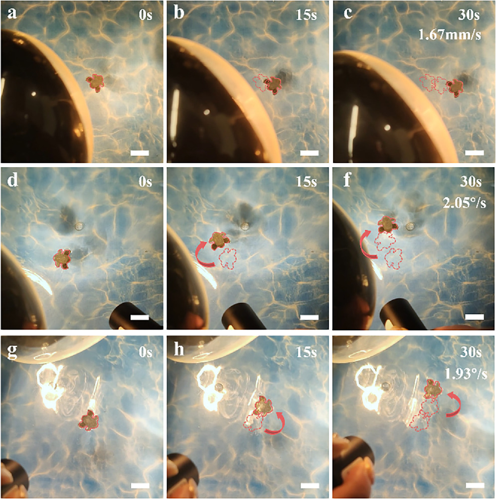 Light-driven biomimetic mussel robot with locomotion and adhesion ...