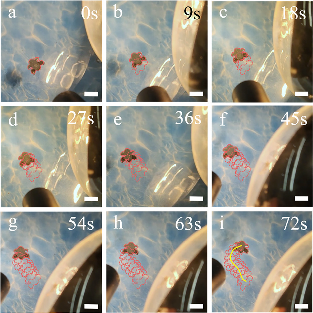 Light-driven biomimetic mussel robot with locomotion and adhesion ...