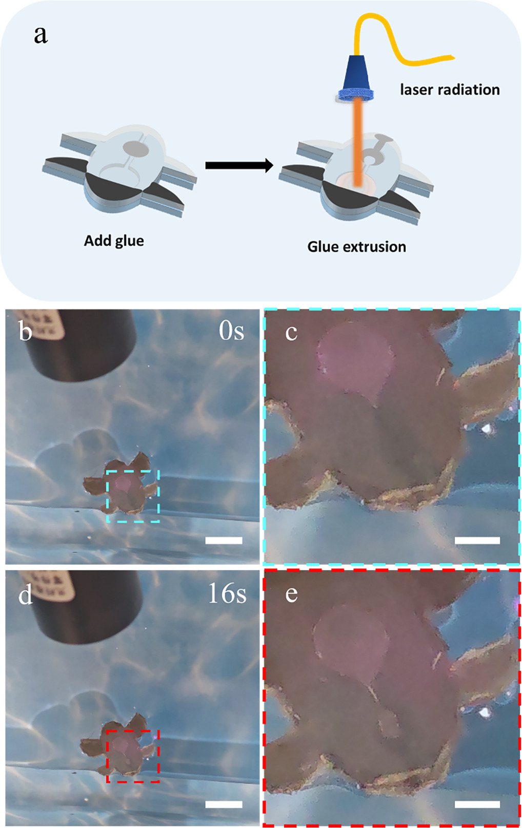Light-driven biomimetic mussel robot with locomotion and adhesion ...