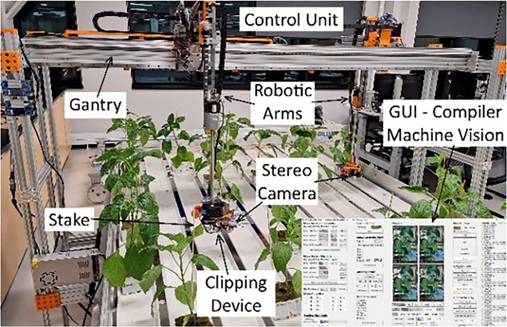 Real-time point localization on plants using feature-based soft margin ...