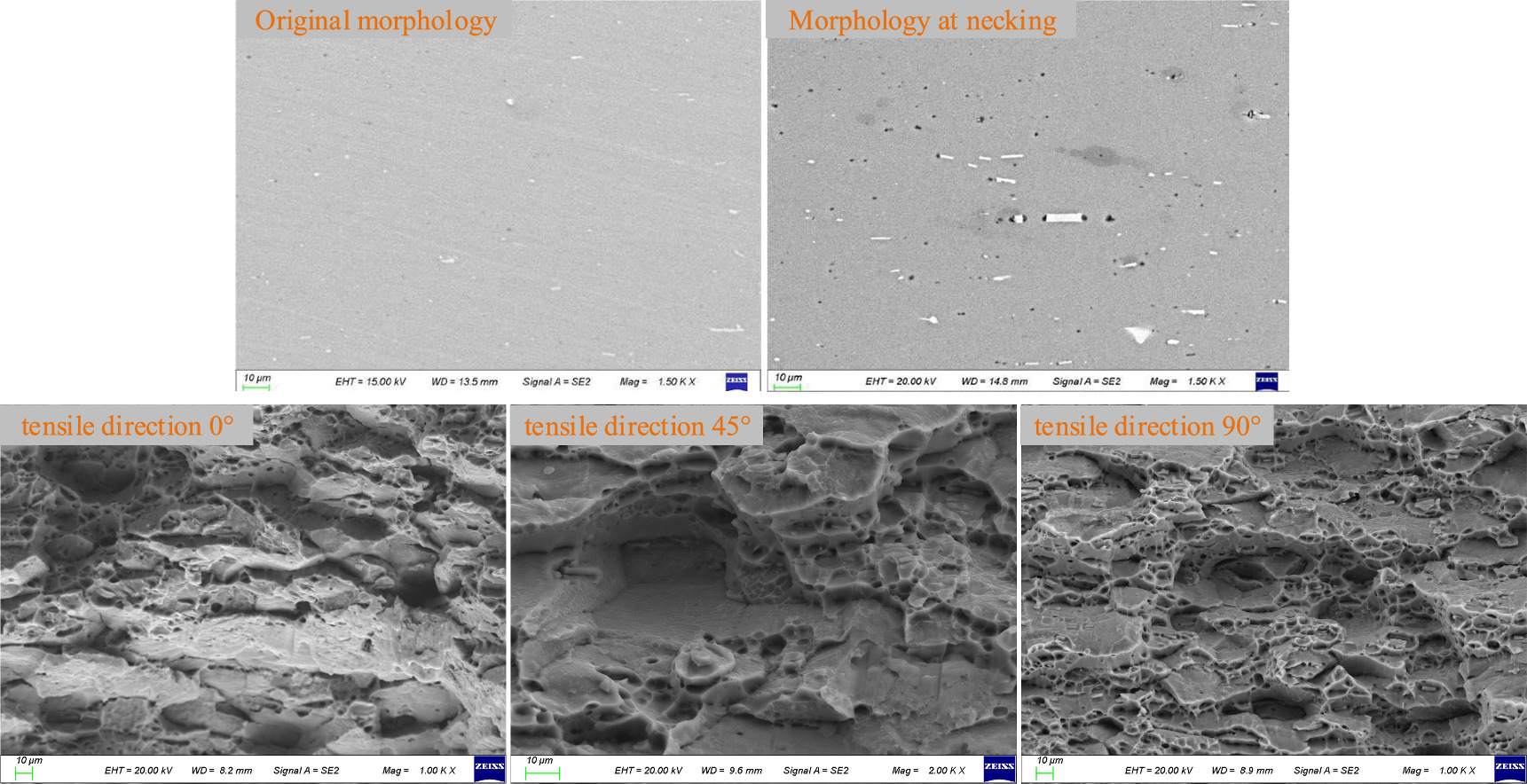 Parameter calibration of anisotropic GTN model and forming limit for ...